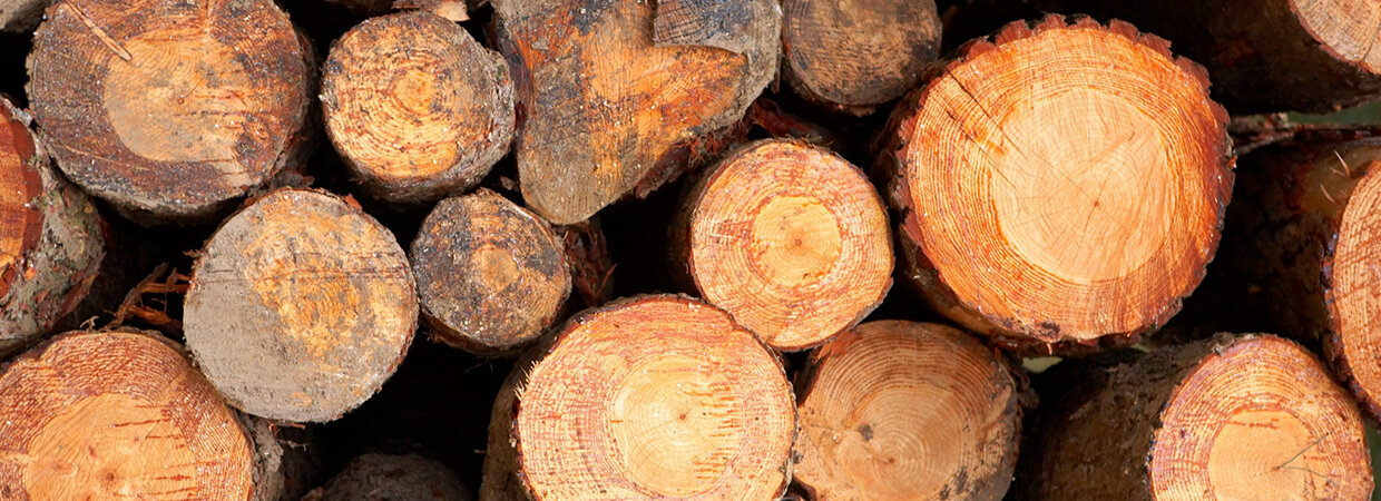 What is biomass wood fuel?