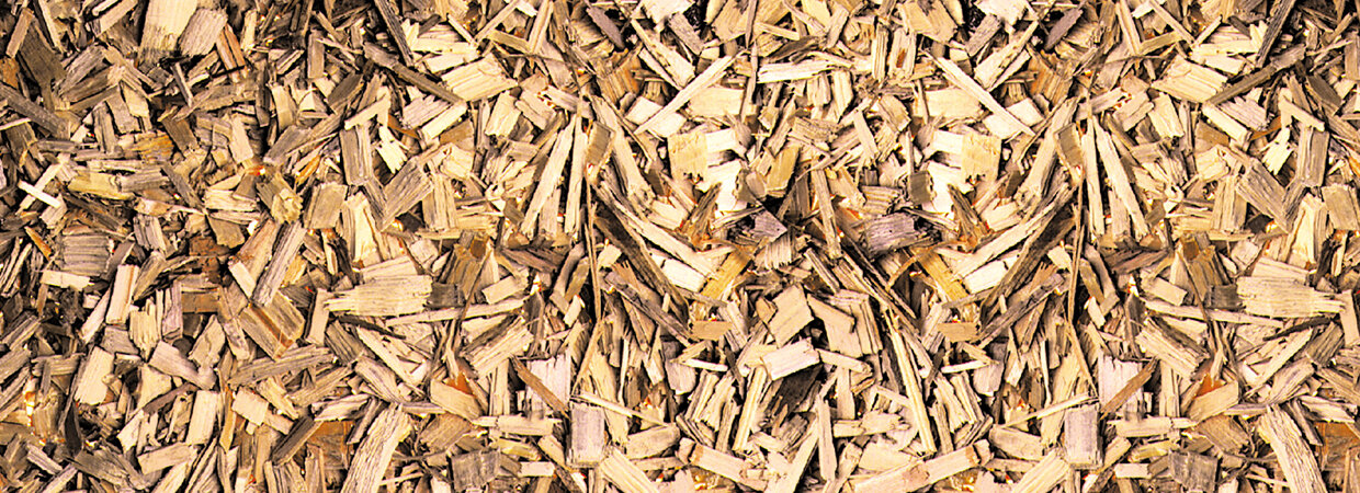 What is biomass wood fuel?